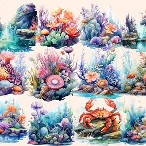Tidepools Watercolor Clipart Bundle: 67 Nautical PNG Images (digital ...