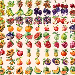 Watercolor Fruits Clipart Bundle: 491 PNG Graphics (digital Download ...