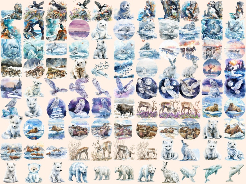 Watercolor Arctic Animals Clipart Bundle: 441 PNG Images (digital ...