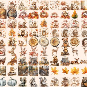 Fall Woodland Watercolor Clipart Bundle: Autumn Animals (digital ...