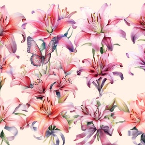 Pink Lilies Watercolor Clipart Bundle - 101 PNG Lily Flower Images ...