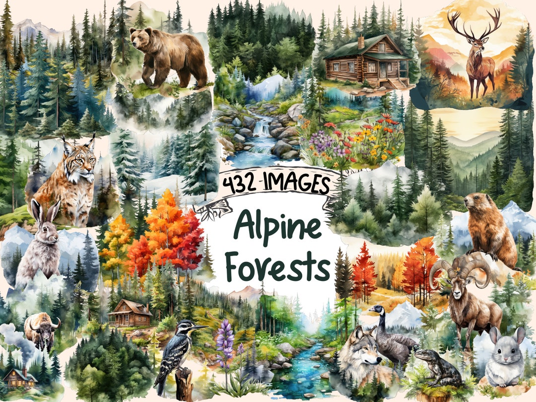 Alpine Forests Watercolor Clipart Bundle - 432 PNG Alpine Mountains ...