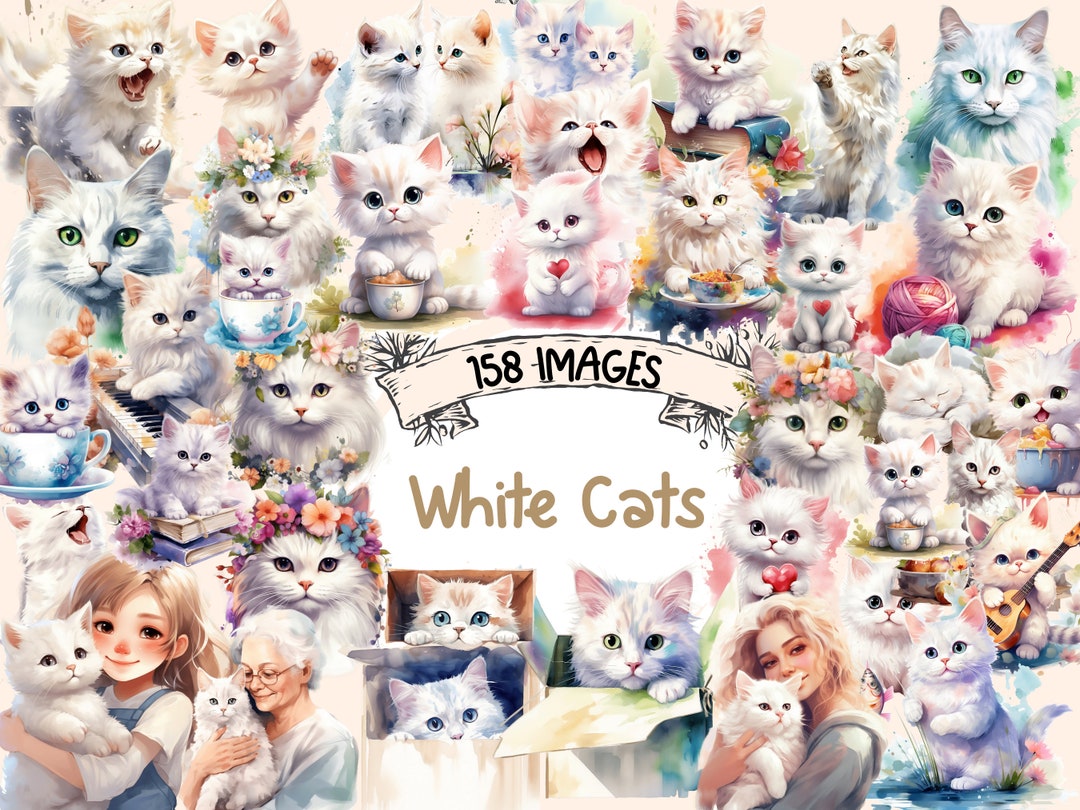 White Cats Watercolor Clipart Bundle - 158 PNG White Cat Images ...