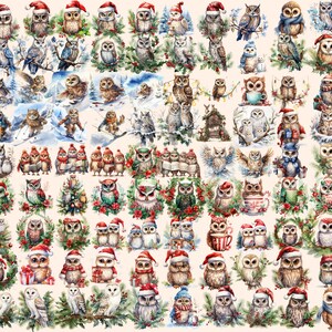 Winter Owls Watercolor Clipart Bundle -354 PNG Snowy Christmas Owl ...