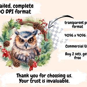 Winter Owls Watercolor Clipart Bundle -354 PNG Snowy Christmas Owl ...