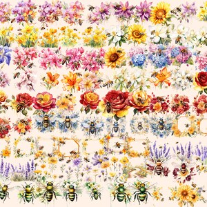 Floral Honeybees Watercolor Clipart Bundle - 388 PNG Flower Bee Images ...