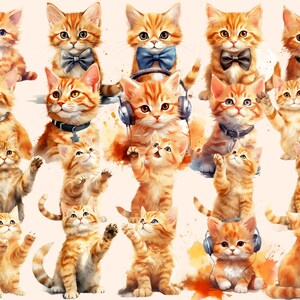 Orange Cats Watercolor Clipart Bundle - 140 PNG Cute Cat Images ...