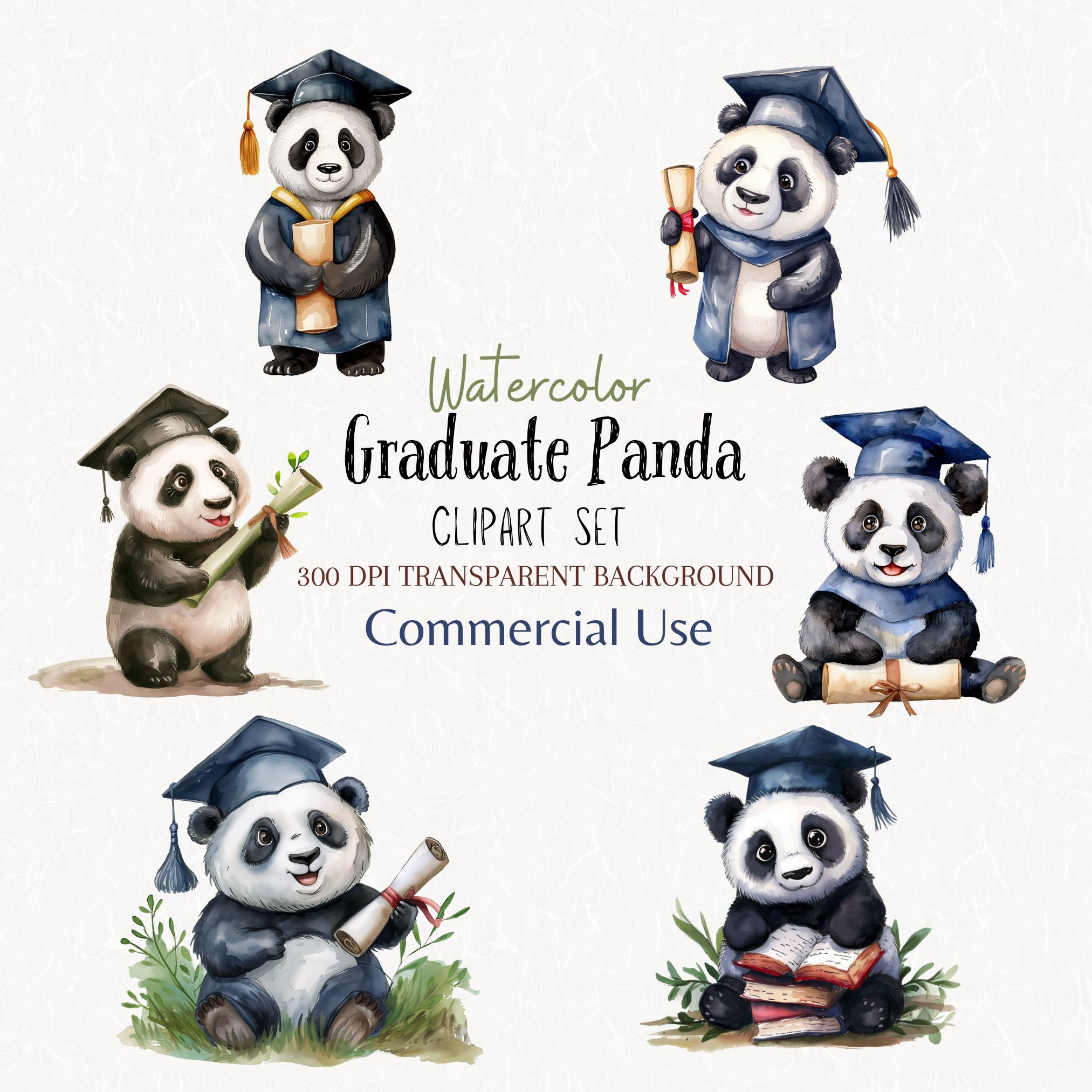 Watercolor Graduate Panda Clipart. Cute Panda Graphic. Graduation ...