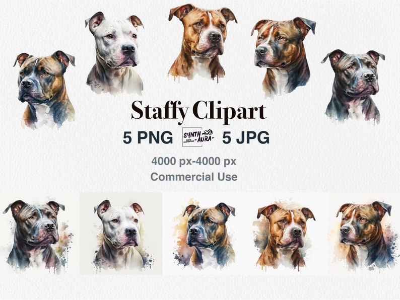 Staffy Clipart. Staffy Sublimation. Staffordshire Bull Terrier Graphic ...