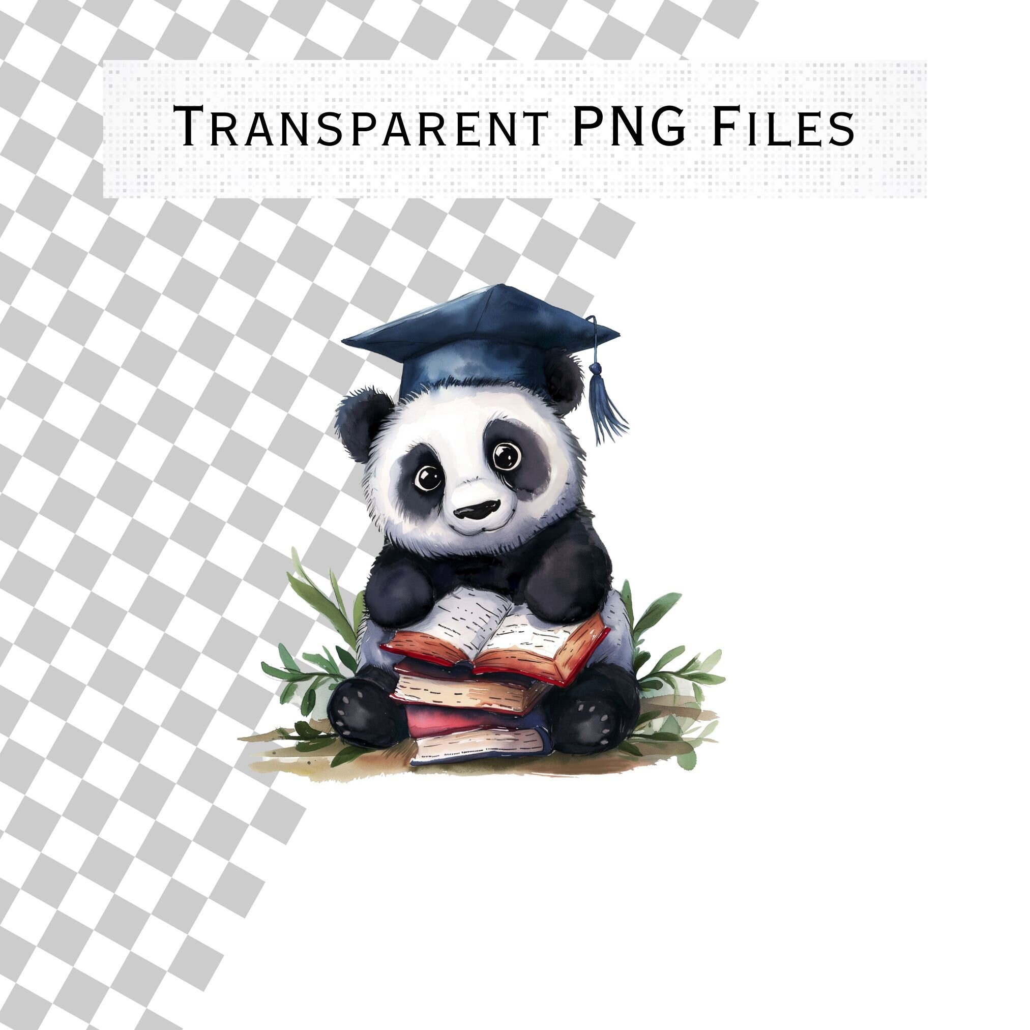 Watercolor Graduate Panda Clipart. Cute Panda Graphic. Graduation ...