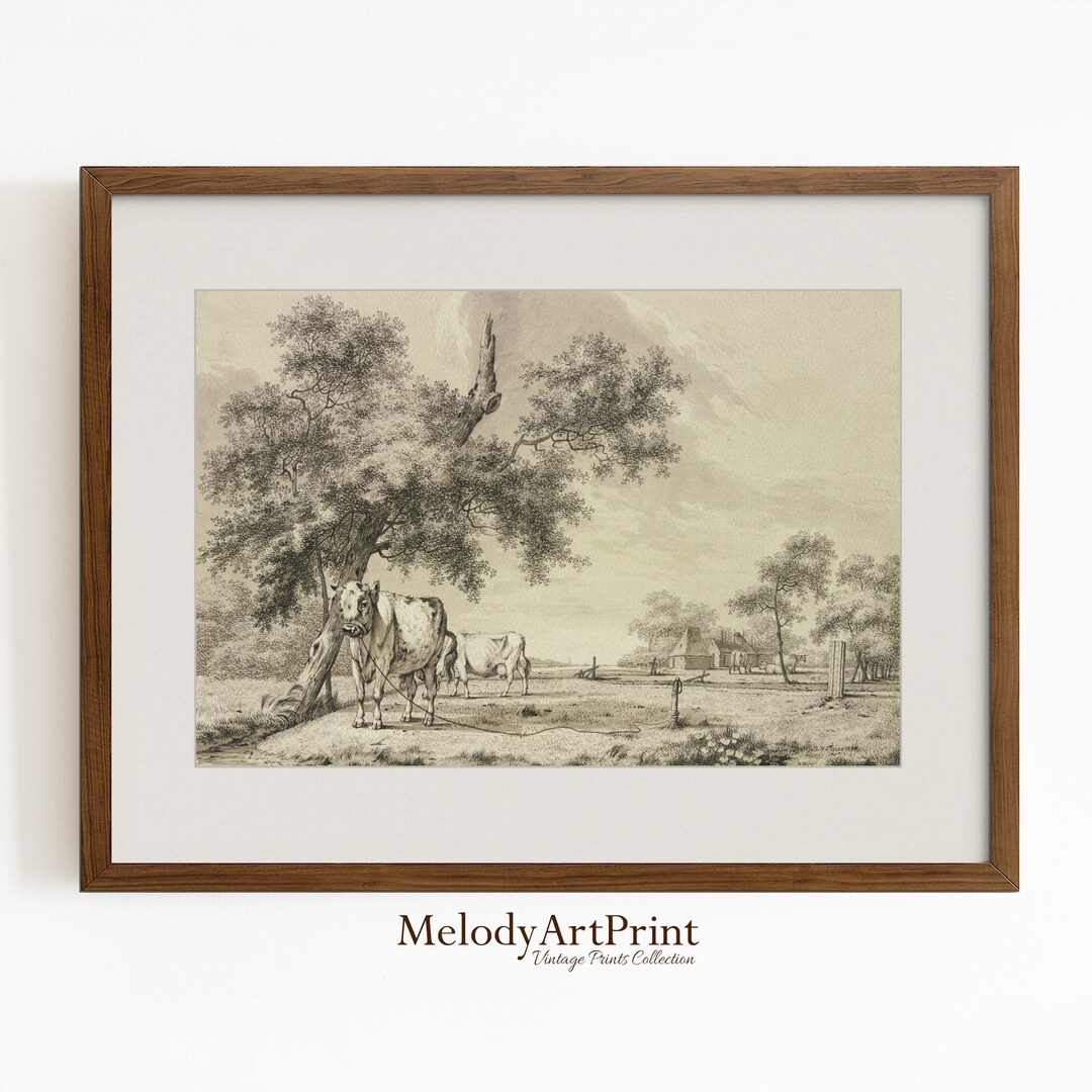 Cows Sketch Print, Farmhouse Wall Art, Vintage Drawing Enhanced ...