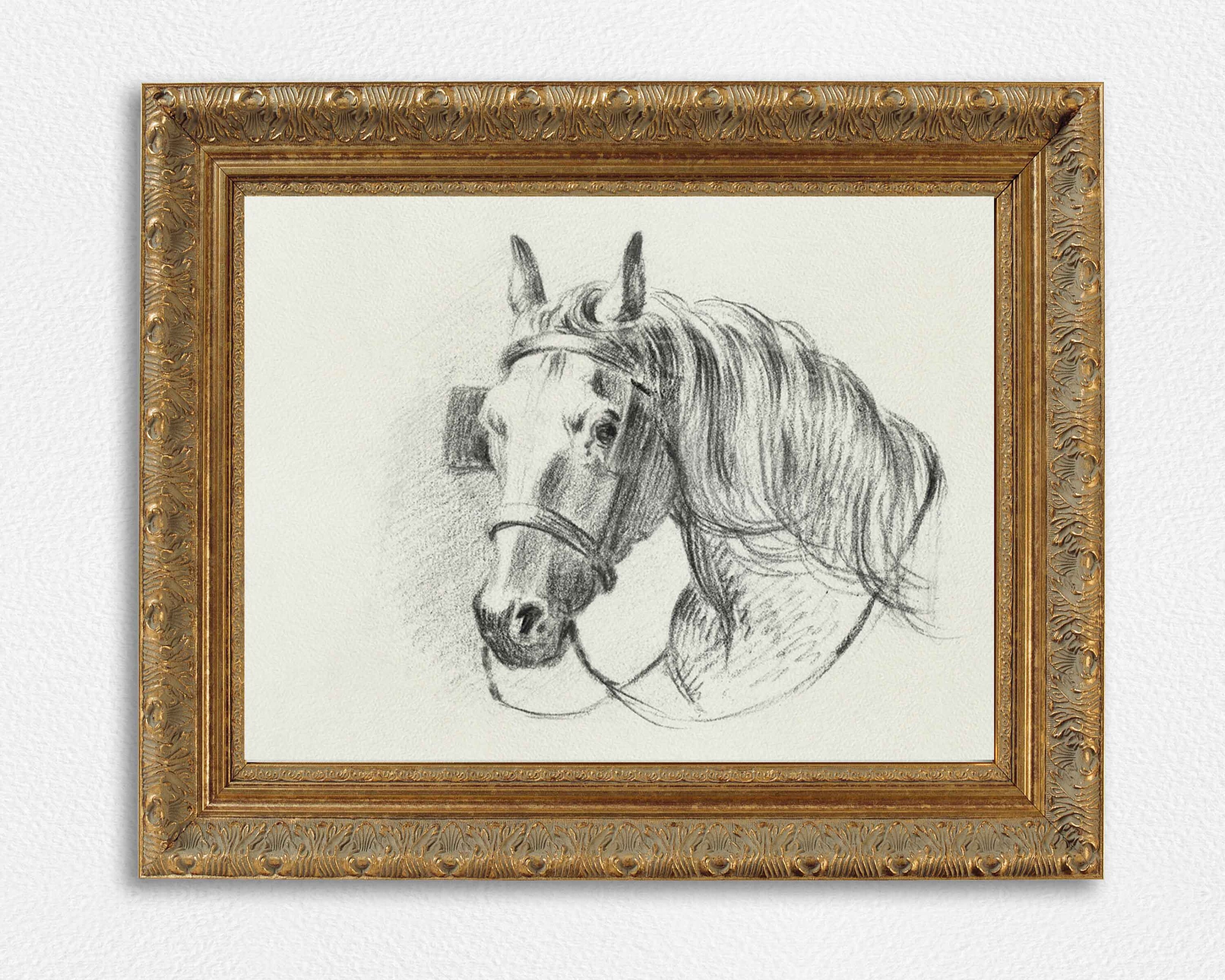 Horse Drawing Vintage Printable Art, Minimalist Horse Sketch, Antique ...