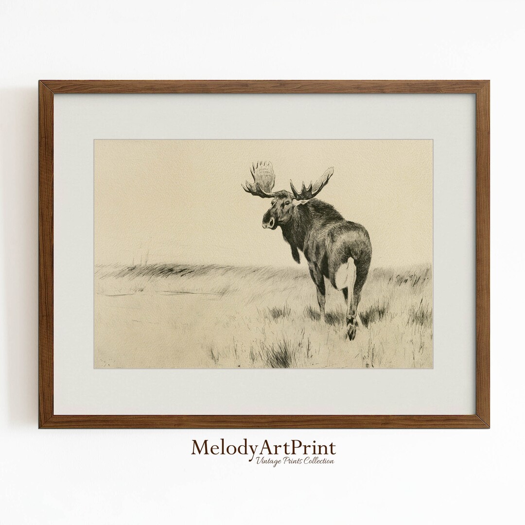 Rustic Moose Sketch Art Print | Vintage Cabin Decor (digital Download ...