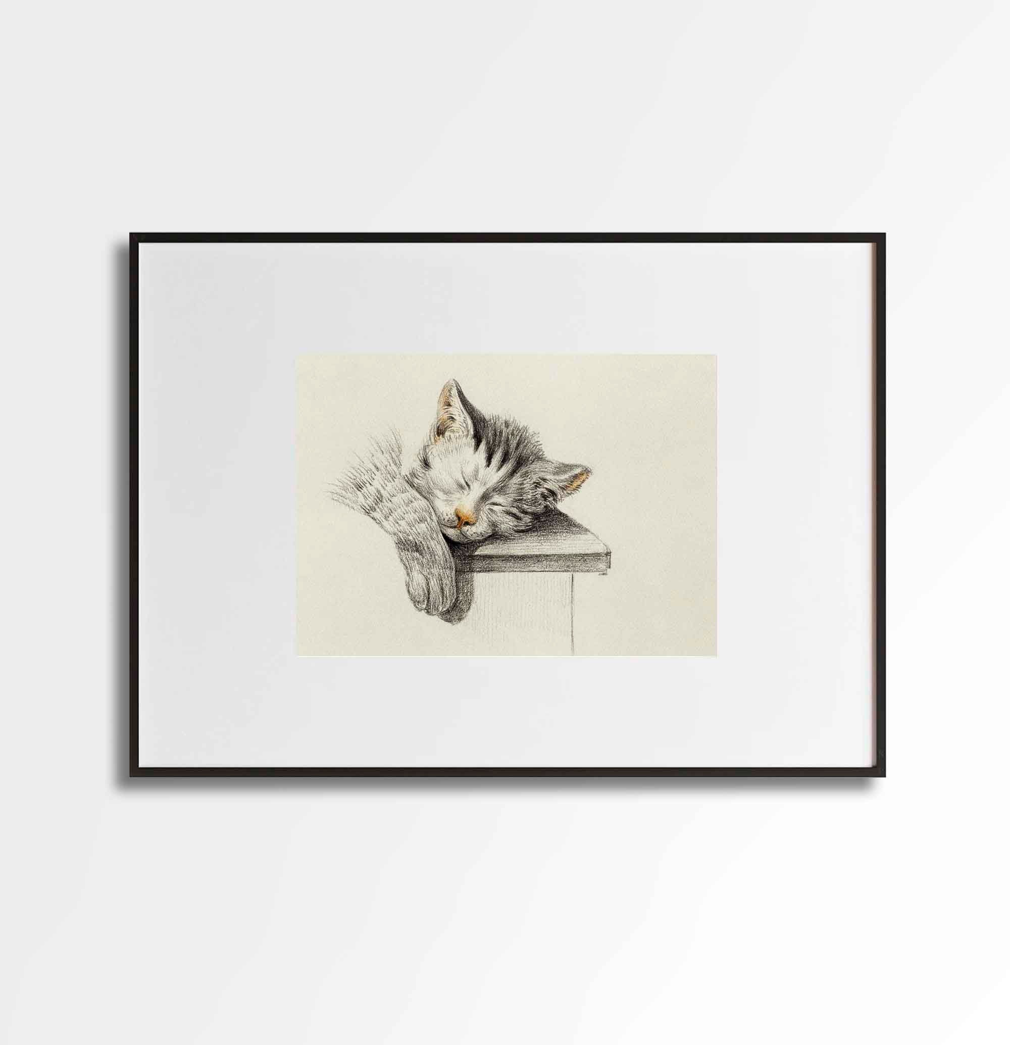 Printable Cat Drawing Cat Art Print Vintage Sketch - Etsy