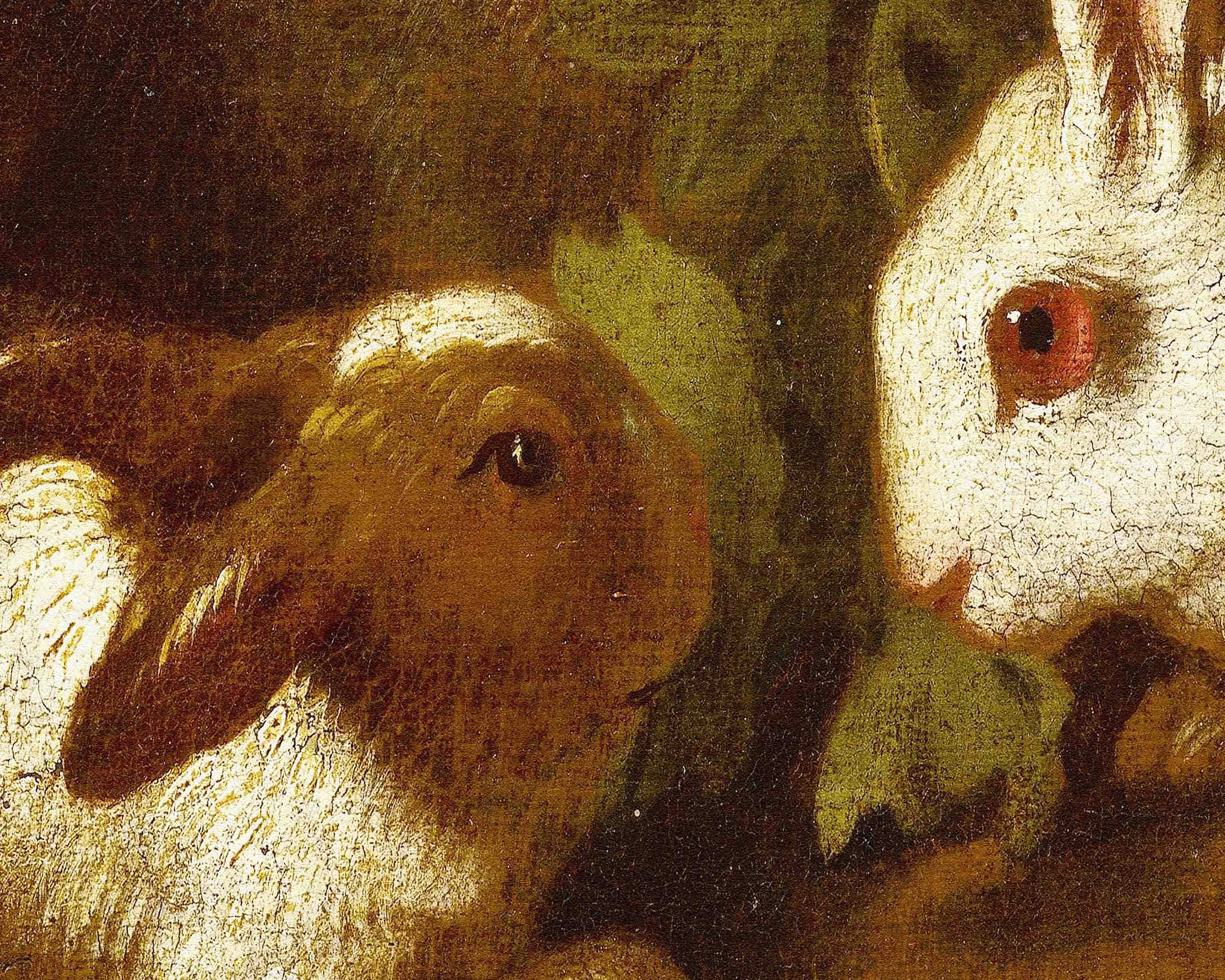 Bunny Rabbit Print Woodland Animal Print Rabbit Wall Art - Etsy