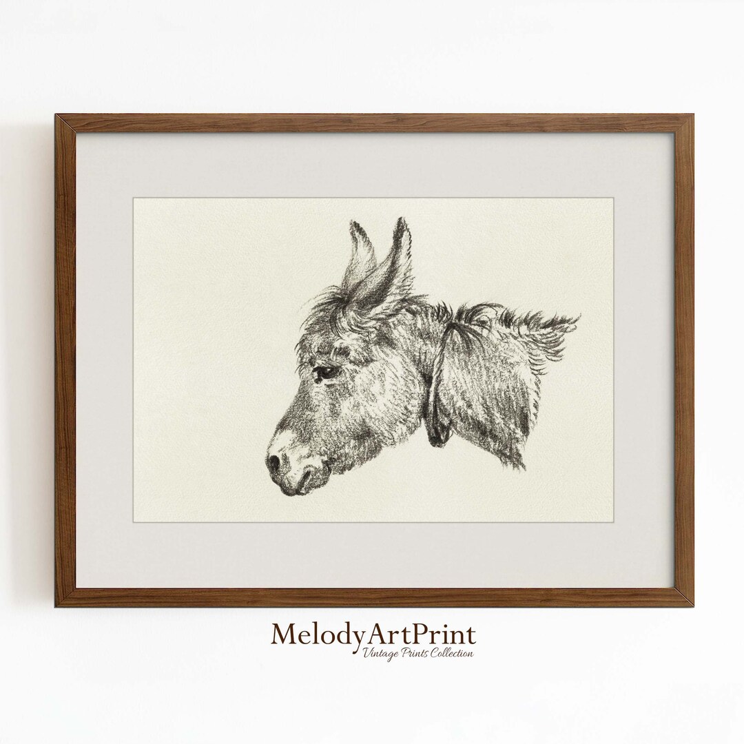 Baby Donkey Wall Art Print, Vintage Farm Animal Drawing Poster Nursery ...