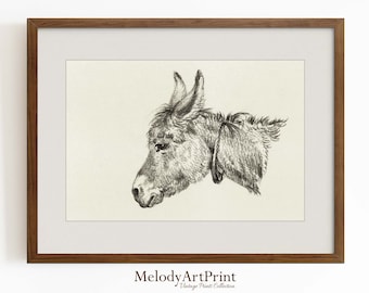 Fat Little Donkey Sketch Illustration 8.5 X 11 Black and White Animal ...