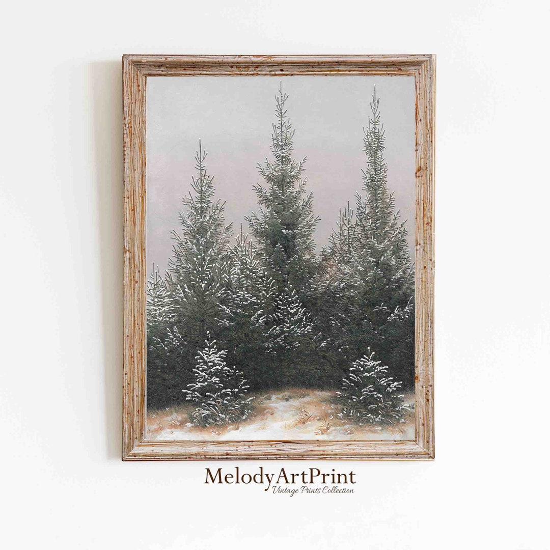 Vintage Fir Botanical Wall Art | Printable Christmas Tree | Winter Pine ...