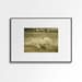 Vintage Baseball Printable Art Sports Poster Baseball Fan Digital ...