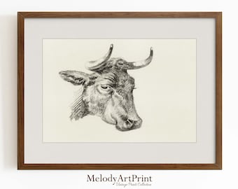 Cow Sketch Print Western Cattle Drawing Neutral Vintage - Etsy