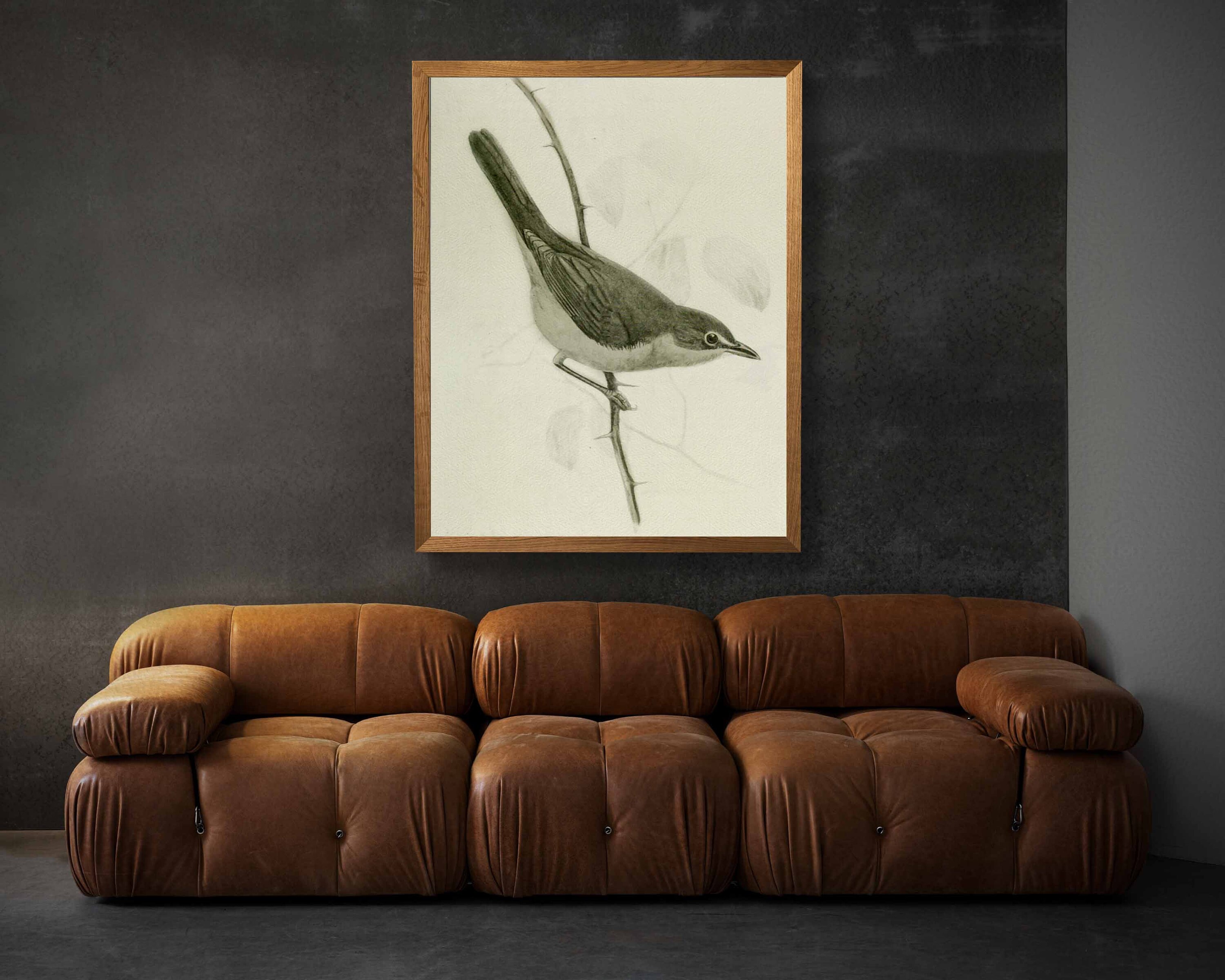 VINTAGE BIRD Sketch Vintage Moody Bird Etching Minimalist - Etsy