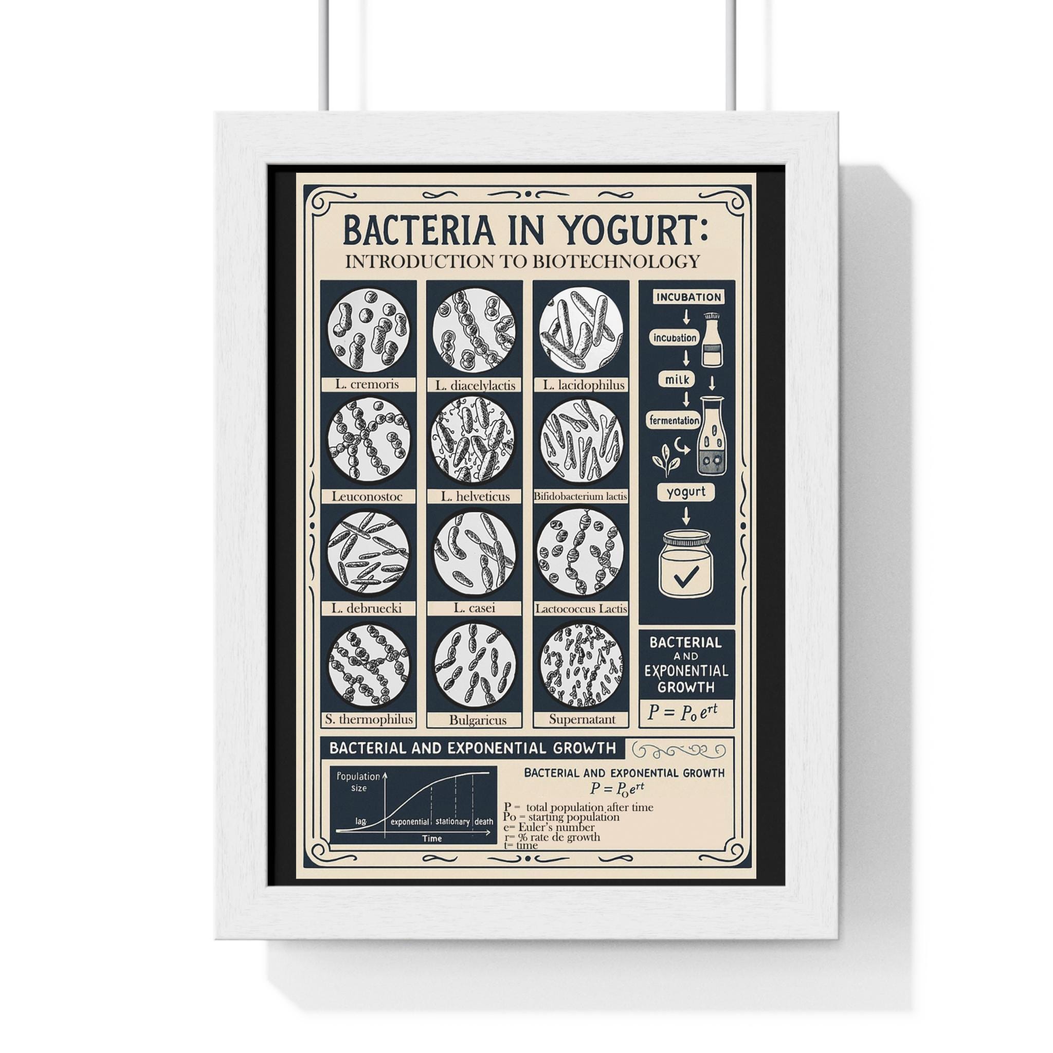 Vintage Science Poster: Bacteria in Yogurt, Perfect for Kitchen Decor ...