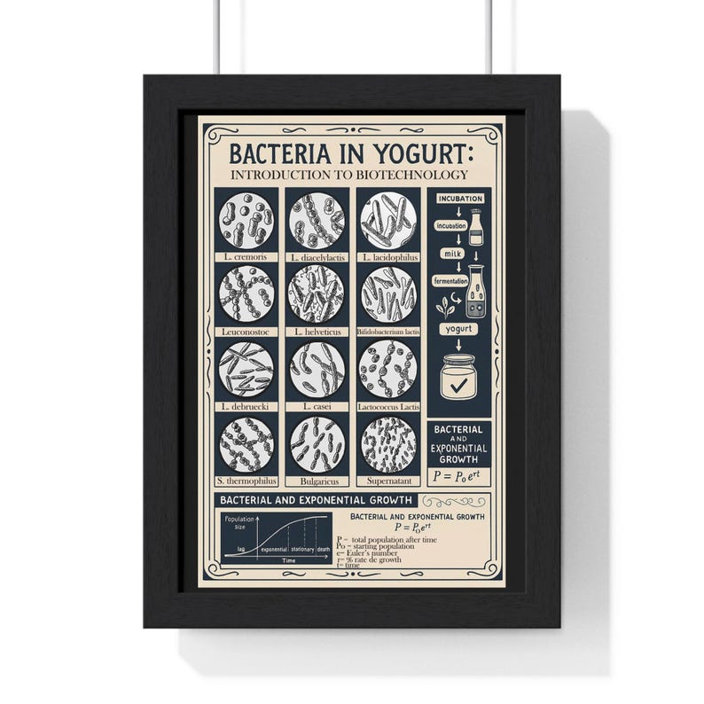Vintage Science Poster: Bacteria in Yogurt, Perfect for Kitchen Decor ...