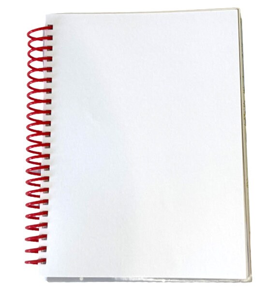 Rudolph the Red Nosed Reindeer Little Golden Book Journal, Repurposed ...