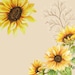 Sunflower Background Paper - Digital Files - Etsy