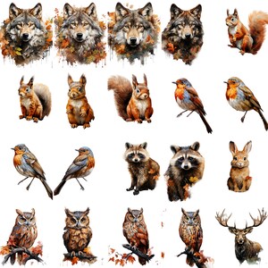 FALL ANIMALS CLIPART Bundle 66x Png - Watercolor - Autumn Holiday ...