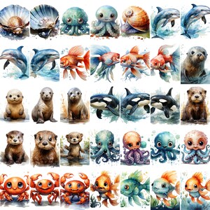 CARTOON OCEAN CLIPART Bundle 157x Png - Watercolor- Marine Animals ...