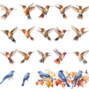 FALL BIRDS CLIPART Bundle 103x Png - Watercolor - Autumn Holiday ...