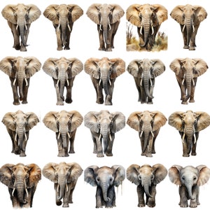 ELEPHANT CLIPART Bundle 81x Png - WATERCOLOR - Safari Jungle Animals ...