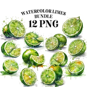 LIME PNG 12pc, Water Color CLIPART, Summer Fruits Png, Digital Download ...
