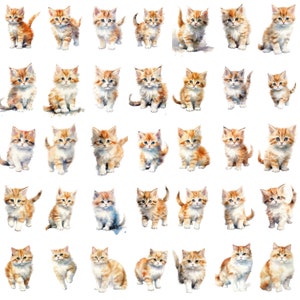 GINGER TABBY CAT Clipart Bundle 135x Png - Watercolor - Kitten Lover ...