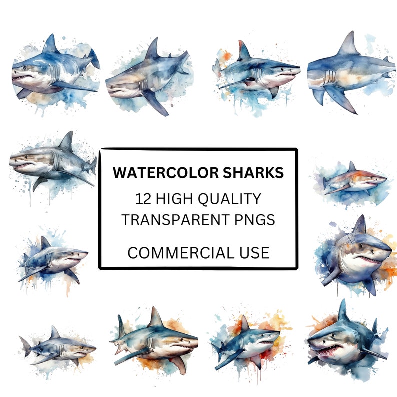 SHARK PNG 12pc Water Color CLIPART Ocean Animals Png - Etsy