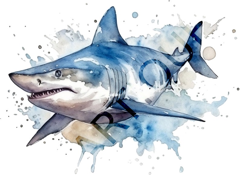 SHARK PNG 12pc Water Color CLIPART Ocean Animals Png - Etsy
