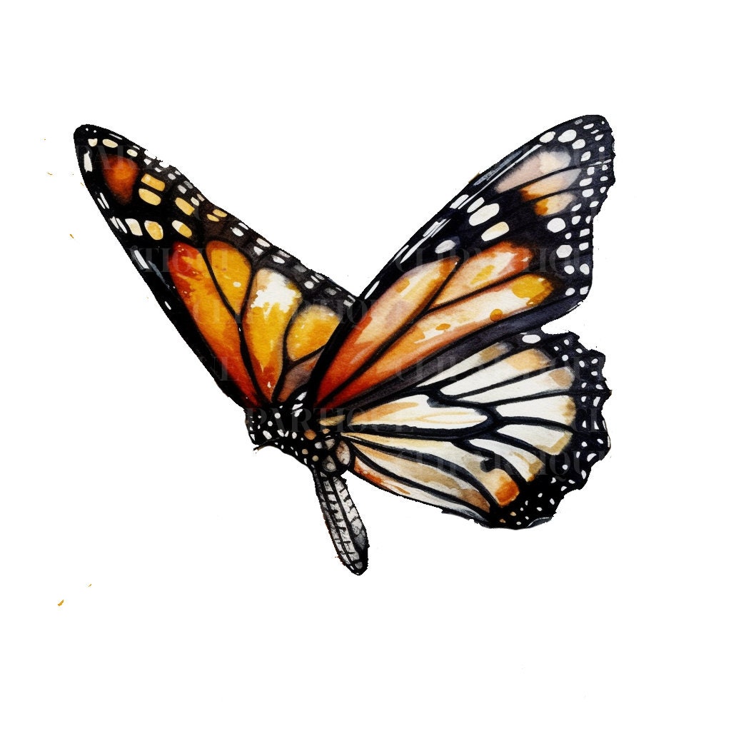 MONARCH BUTTERFLY Clipart Bundle 28x Png Watercolor - Etsy