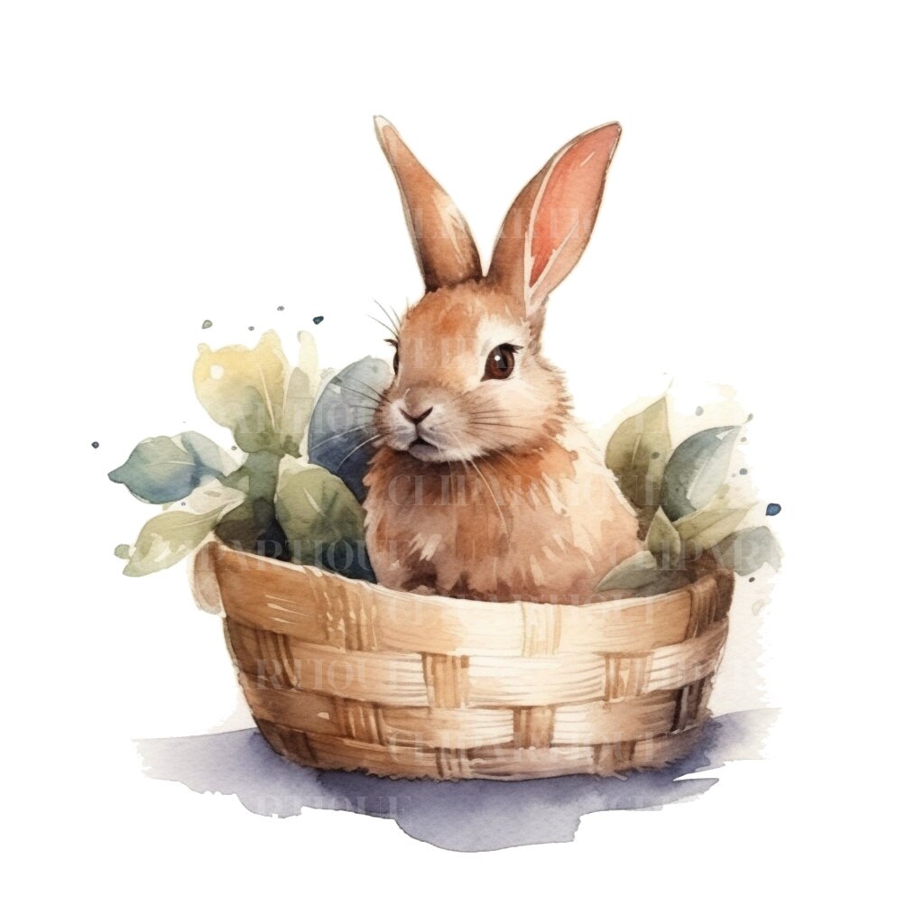 RABBIT BASKET Png 12pc Water Color CLIPART Farm Animals Png - Etsy