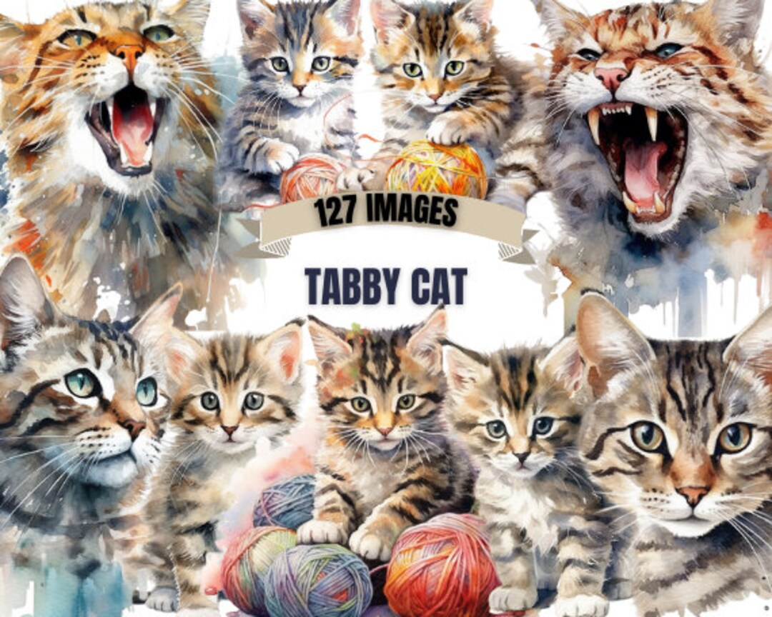 TABBY CAT CLIPART Bundle 127x Png - Watercolor - Kitten Lover ...