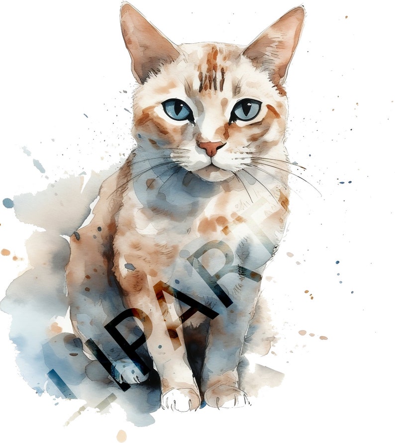 Watercolor Cats Clipart 12 Designs Digital Download - Etsy