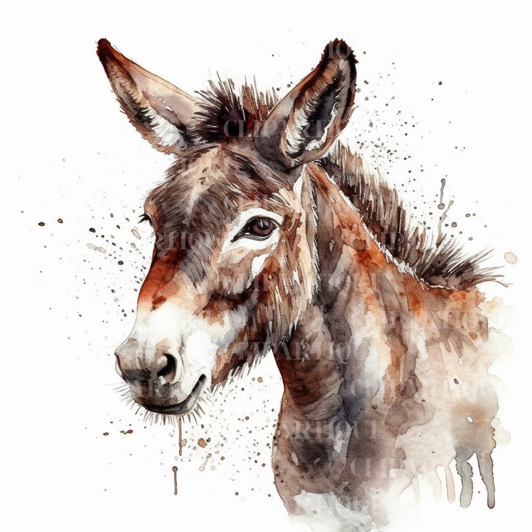 BURRO PNG 20pc, CLIPART de color de agua, Animales de granja Png ...