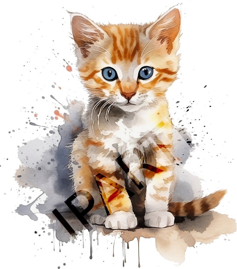 Watercolor Cats Clipart 12 Designs Digital Download - Etsy