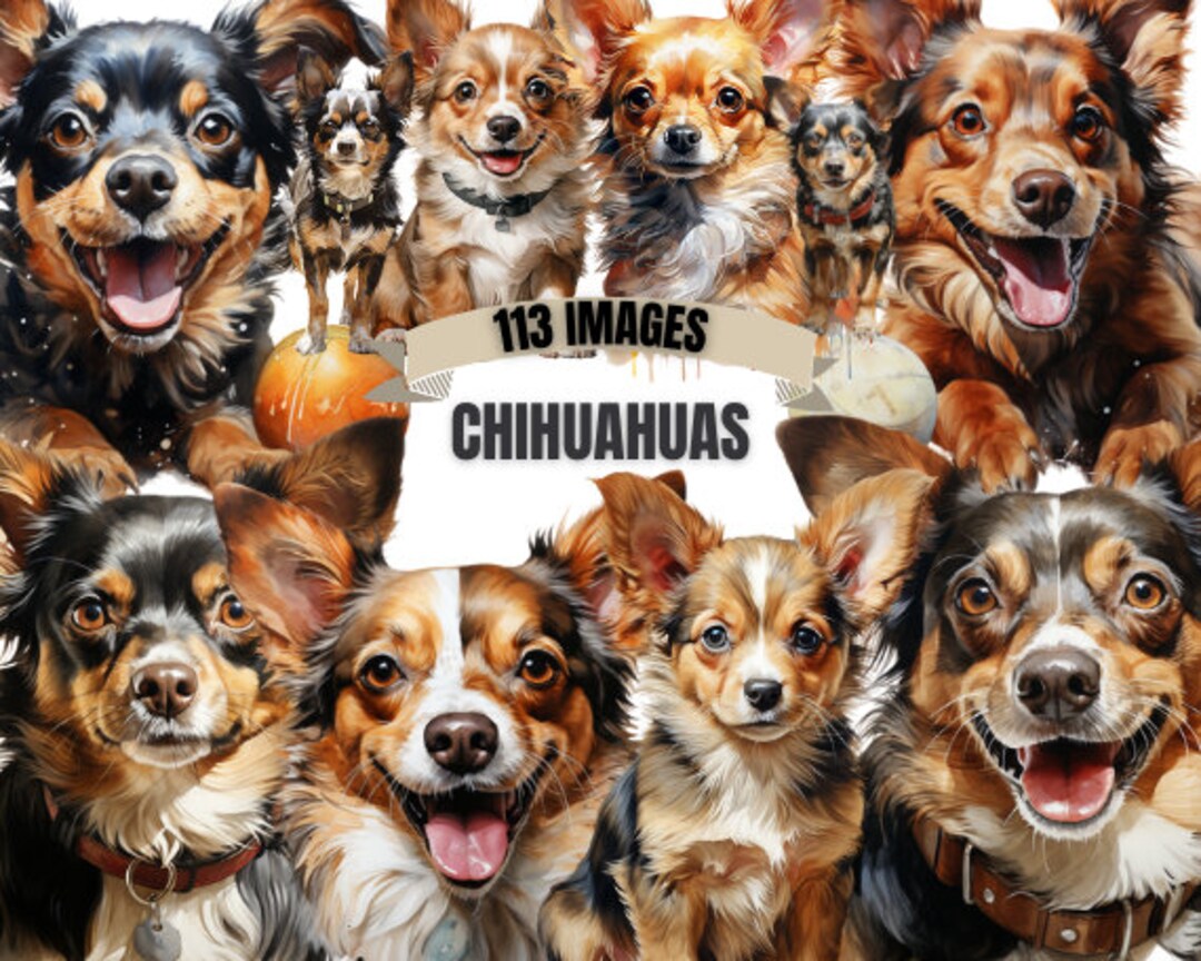 CHIHUAHUA DOG CLIPART Bundle 113x Png - Watercolor - Puppy Dog Lover ...