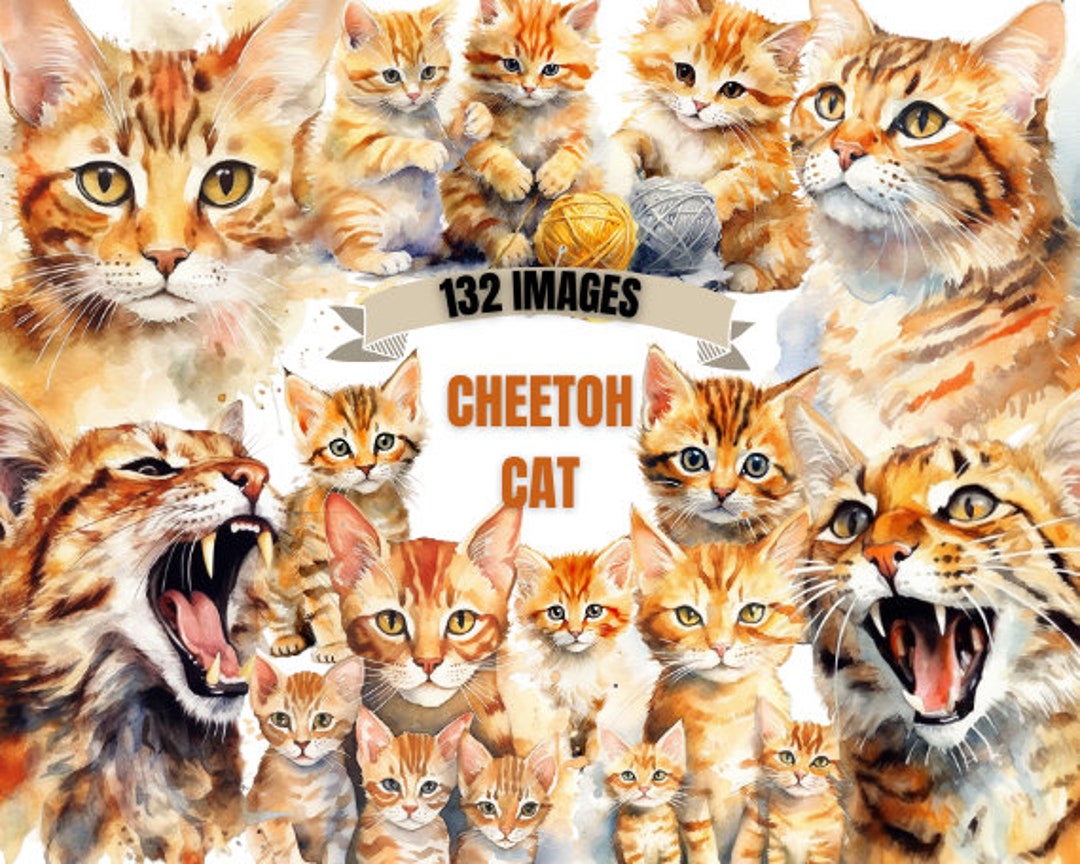 CHEETOH CAT CLIPART Bundle 132x Png - Watercolor - Kitten Transparent ...