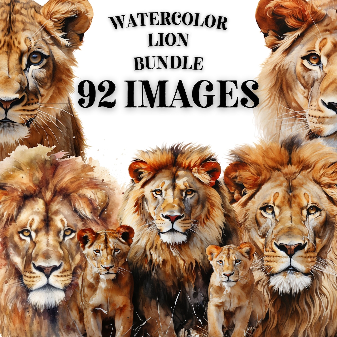 LION CLIPART Bundle 92x Png - WATERCOLOR - Safari Jungle Animals ...