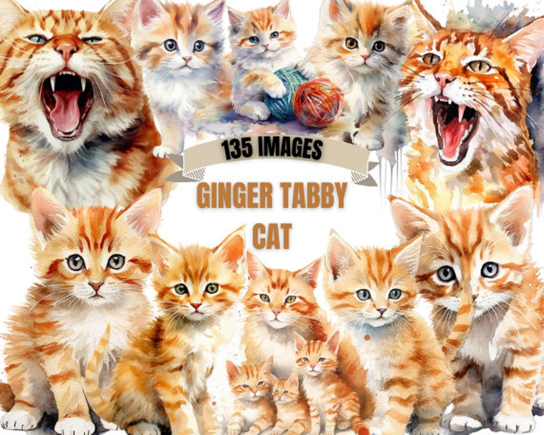 GINGER TABBY CAT Clipart Bundle 135x Png - Watercolor - Kitten Lover ...