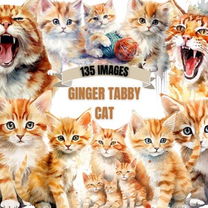 GINGER TABBY CAT Clipart Bundle 135x Png - Watercolor - Kitten Lover ...