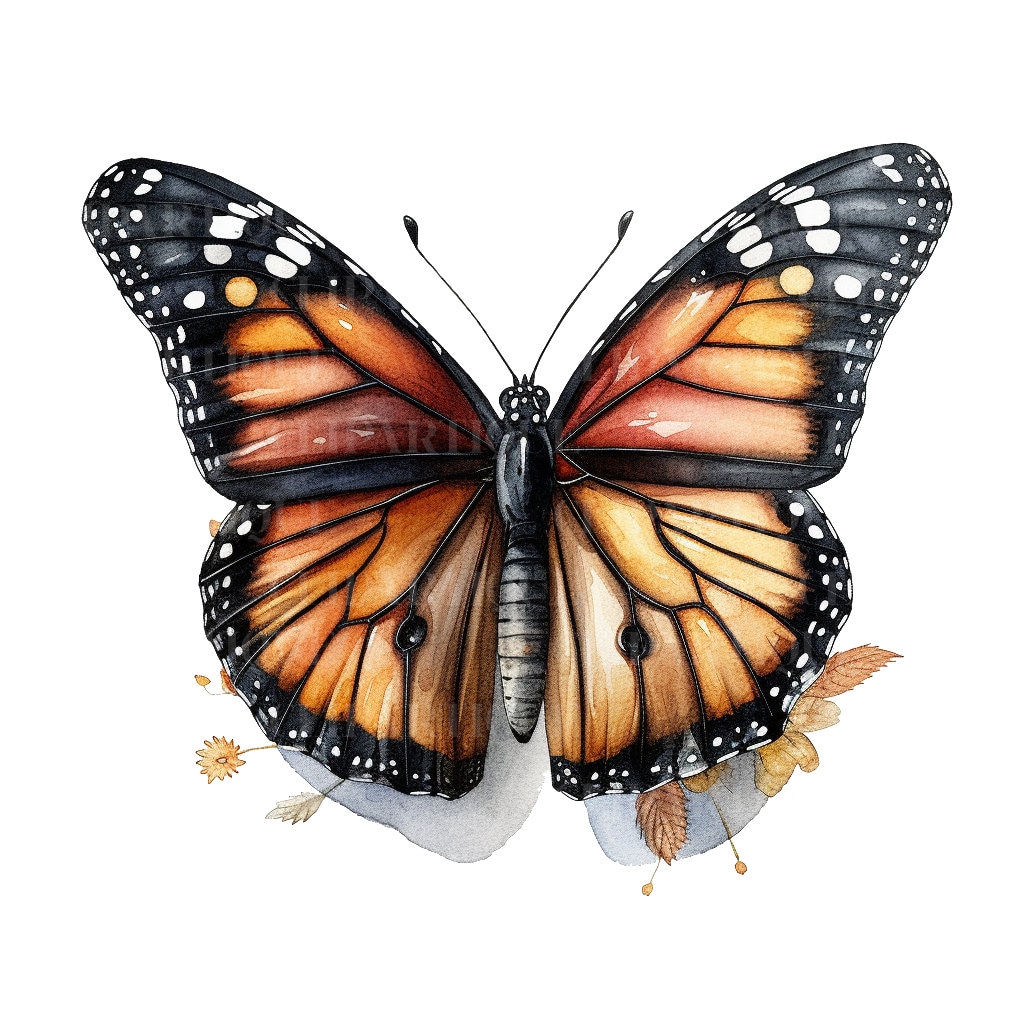 MONARCH BUTTERFLY Clipart Bundle 28x Png Watercolor - Etsy