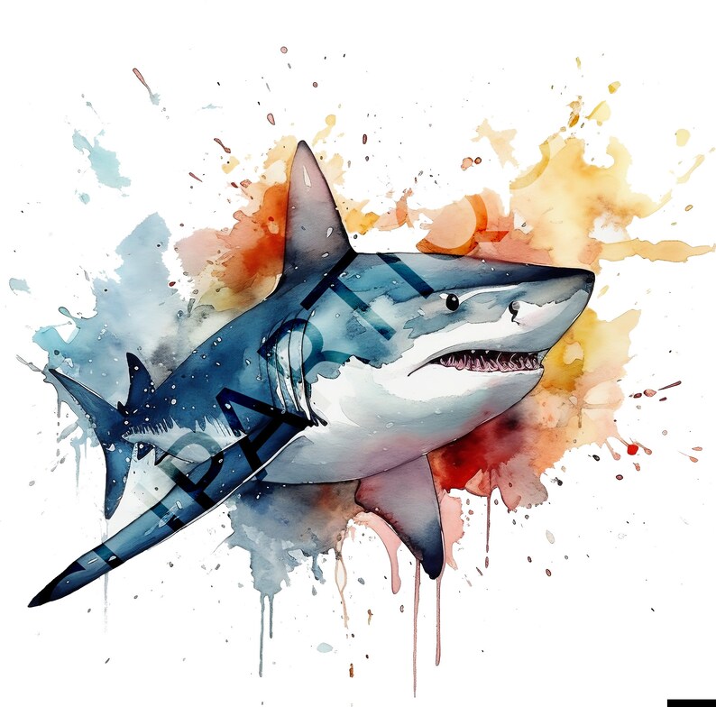 SHARK PNG 12pc Water Color CLIPART Ocean Animals Png - Etsy
